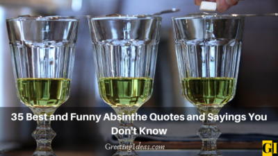 25 Best Having an Older Brother Quotes and Sayings