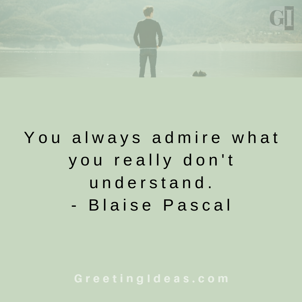 Great Admirer Quotes