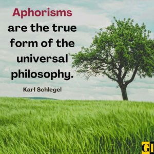 35 Best Aphorism Quotes About Life And Love