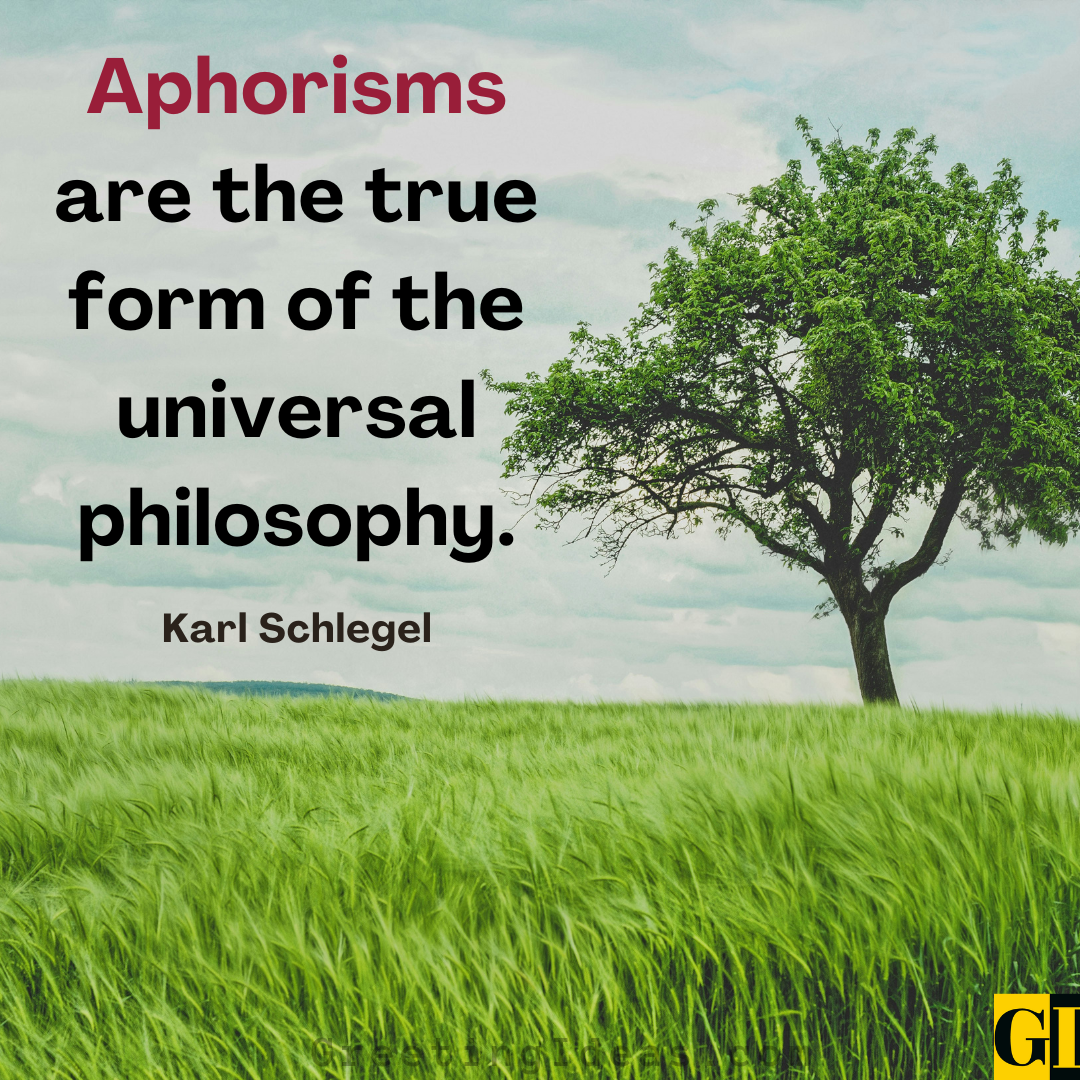 35 Best Aphorism Quotes About Life And Love