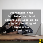 35 Best Feeling Aggravated Quotes And Sayings