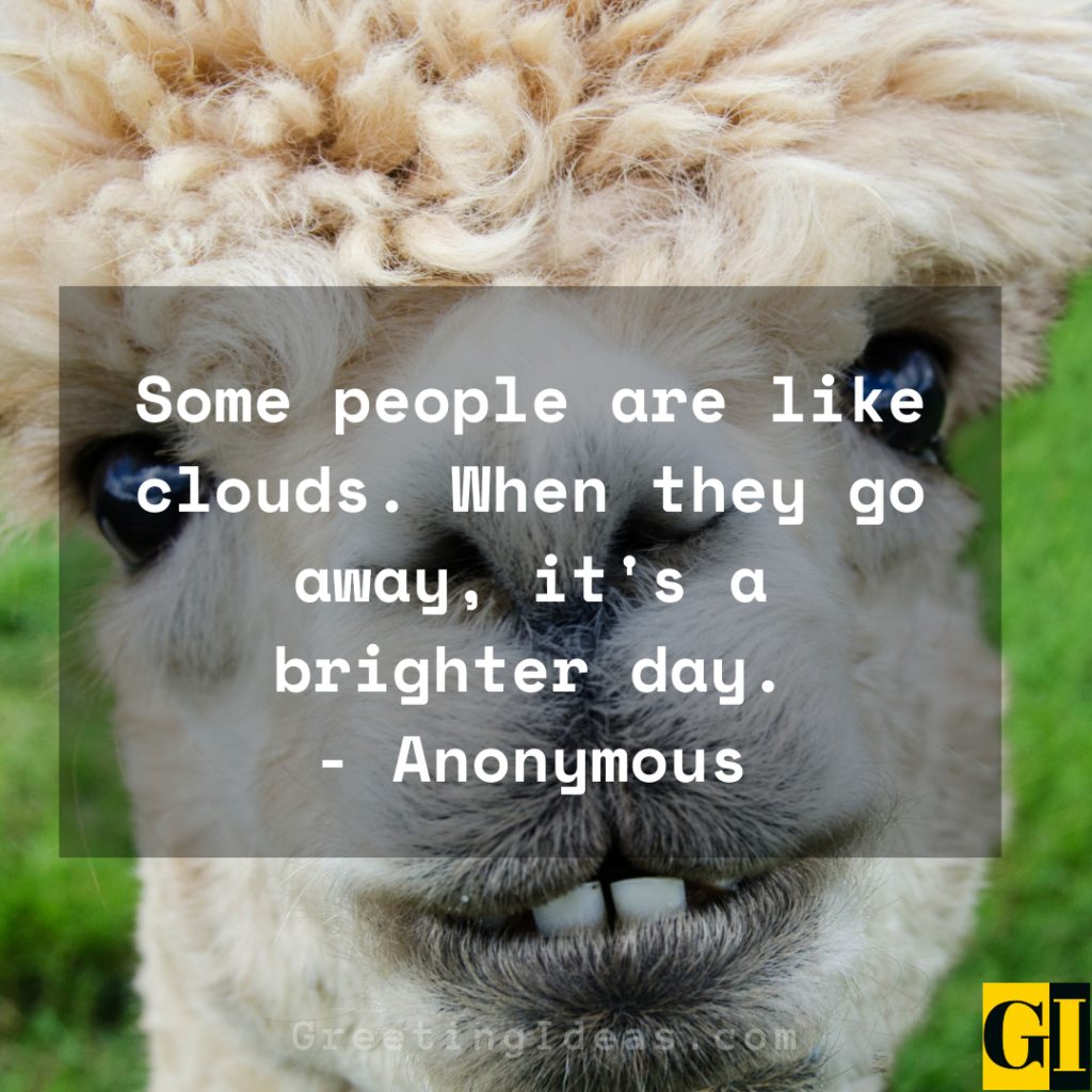 30 Amusing Quotes And Sayings For A Light Hearted Mind