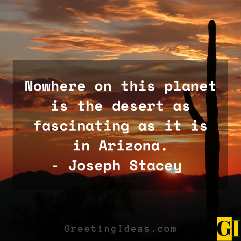 50 Beautiful Arizona Quotes To Admire Its Desert Landscape