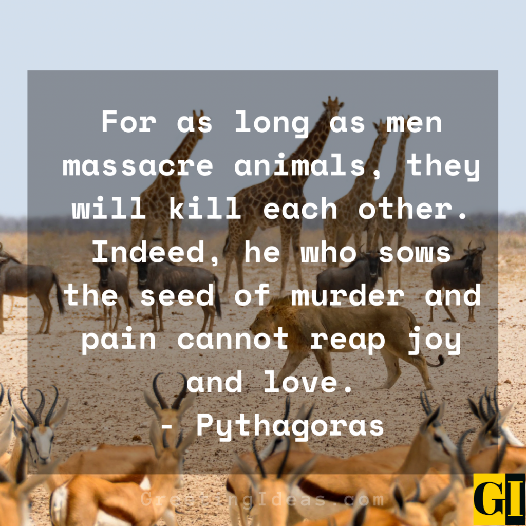 75 Powerful Animal Abuse Quotes Sayings To Stop Cruelty