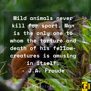 75 Powerful Animal Abuse Quotes Sayings To Stop Cruelty