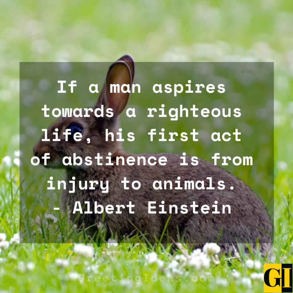 75 Powerful Animal Abuse Quotes Sayings To Stop Cruelty