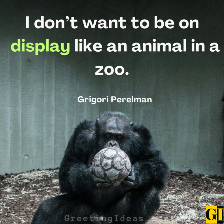 55 Best Zoo Quotes And Sayings On Animals Welfare