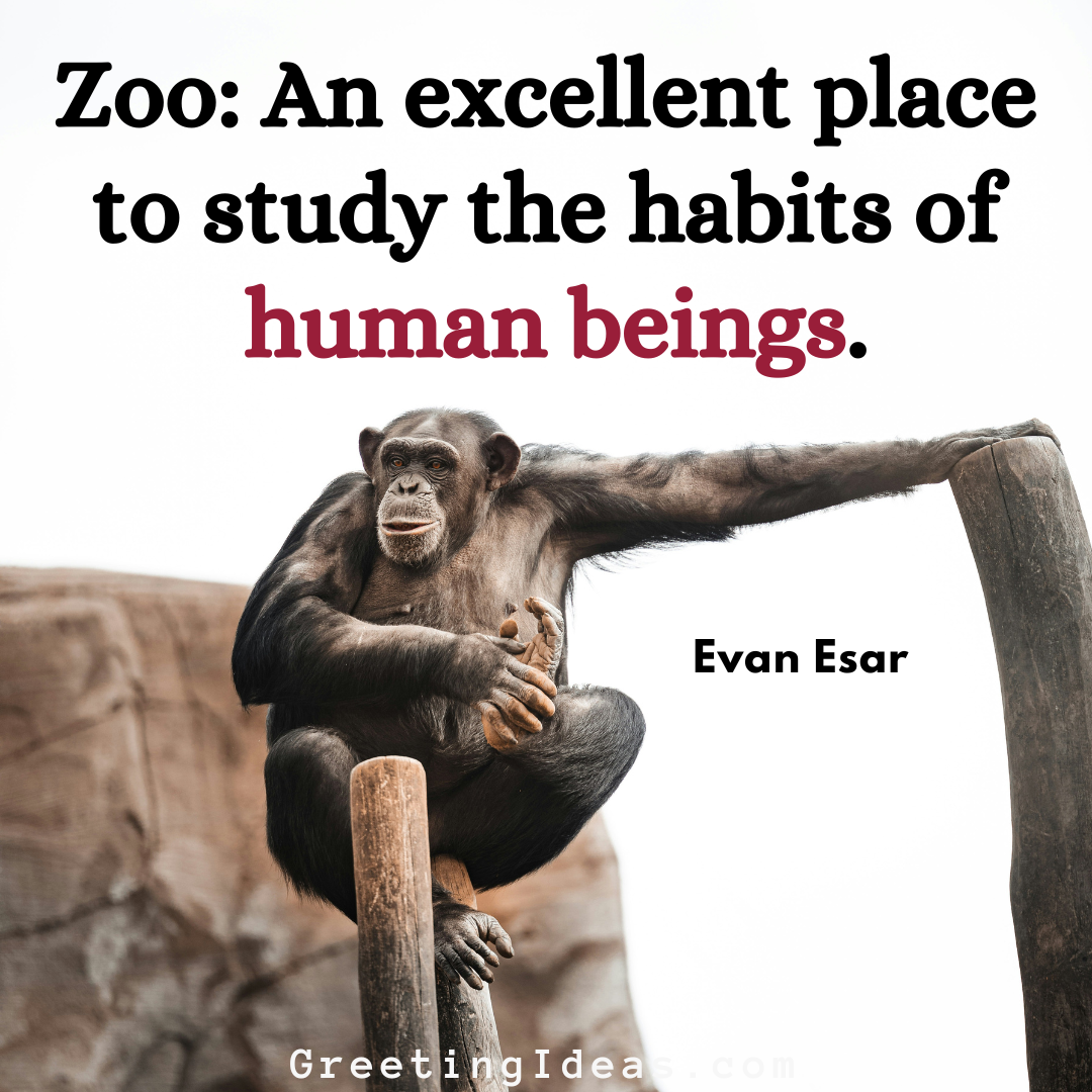 55 Best Zoo Quotes And Sayings On Animals Welfare
