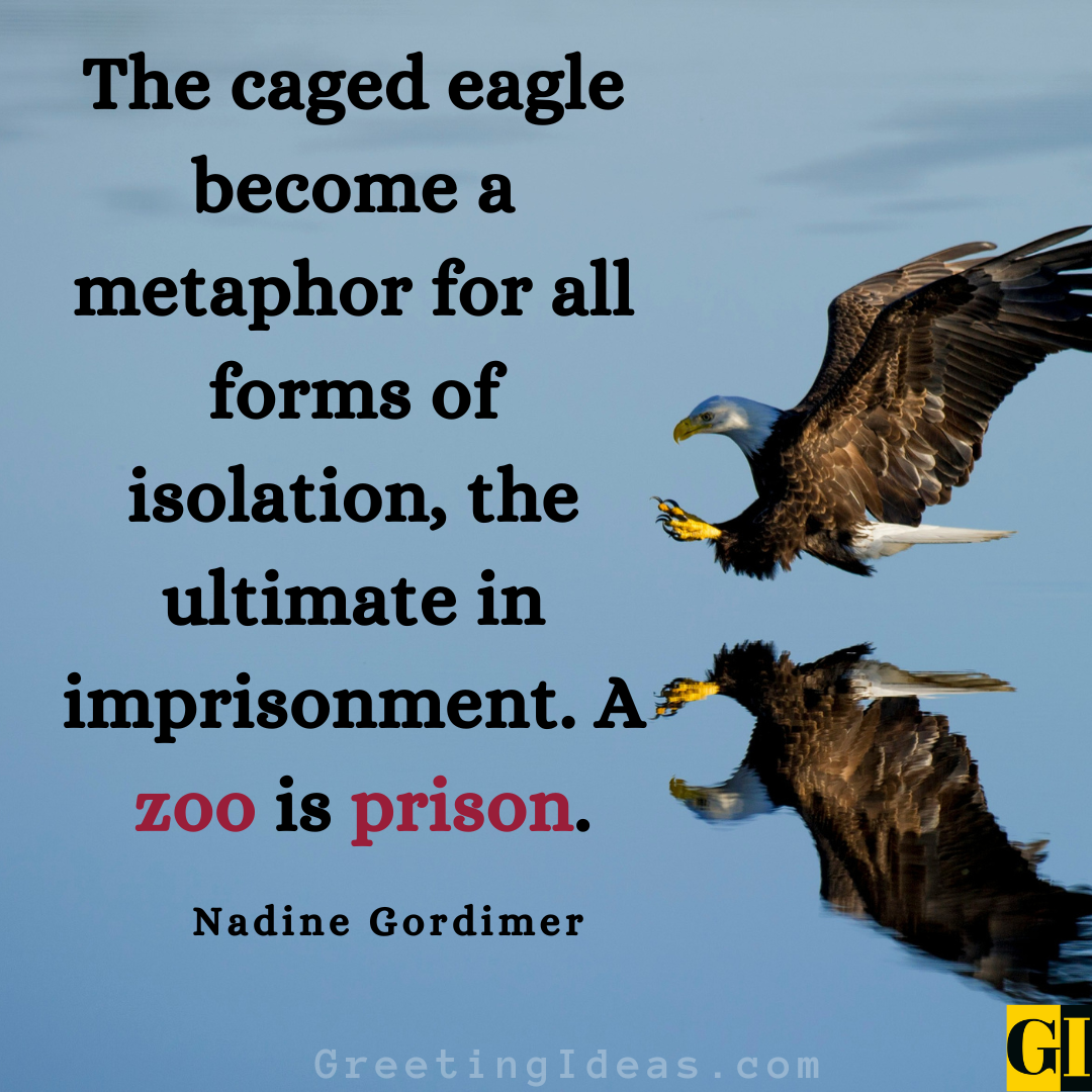 55 Best Zoo Quotes And Sayings On Animals Welfare