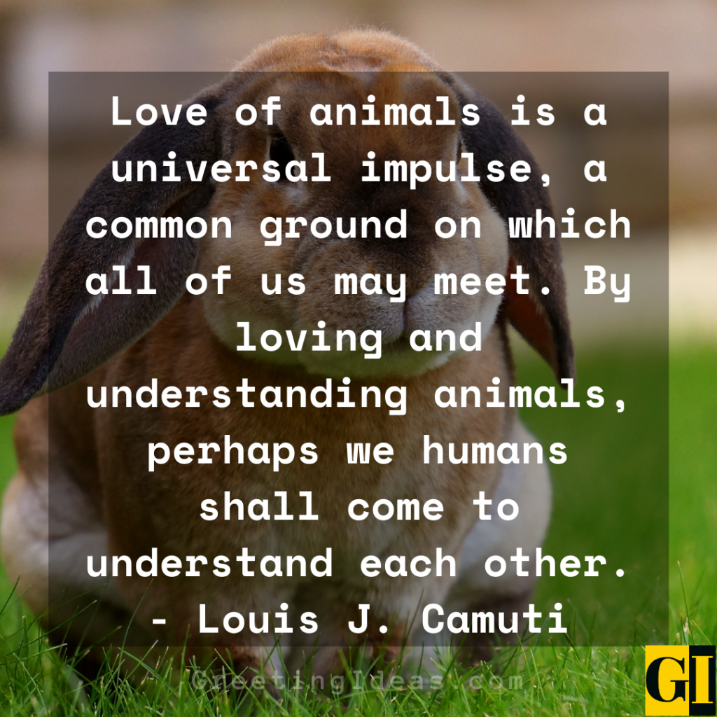 65 Powerful Animal Rights Quotes Against Cruelty And Abuse