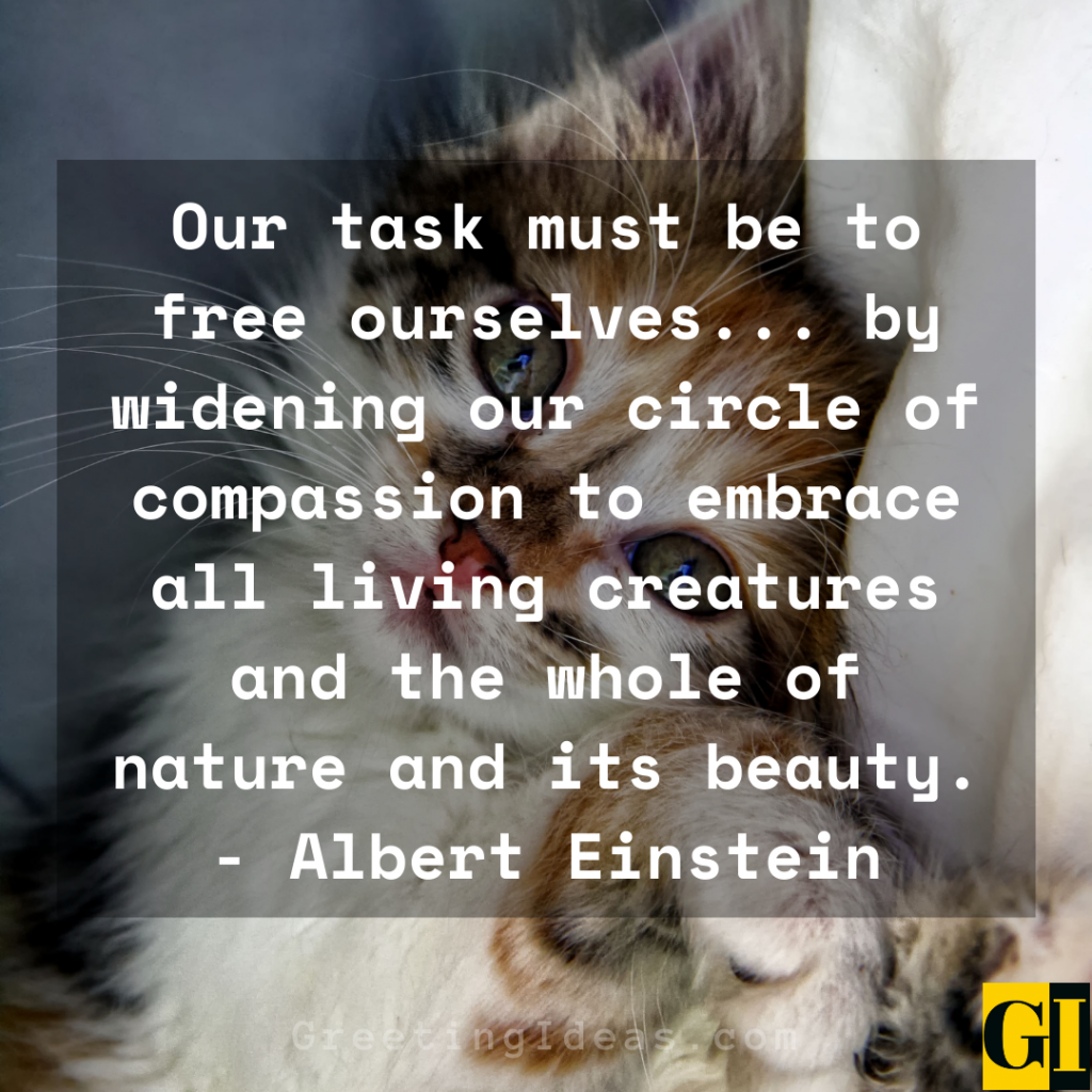 65 Powerful Animal Rights Quotes Against Cruelty And Abuse