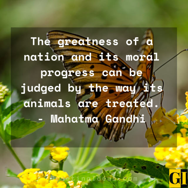 65 Powerful Animal Rights Quotes Against Cruelty And Abuse