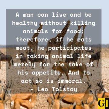 65 Powerful Animal Rights Quotes Against Cruelty And Abuse