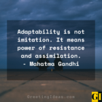 30 Famous Adjustment Quotes Sayings On Life And Relationship