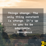 30 Famous Adjustment Quotes Sayings On Life And Relationship