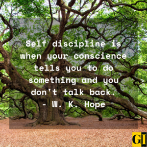 50 Best Positive Discipline Quotes, Sayings and Images