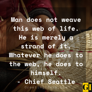 30 Popular Thought Provoking Weave Quotes and Sayings