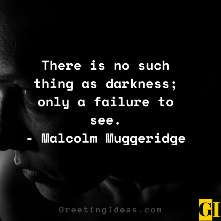 80 Meaningful Light and Darkness Quotes and Sayings