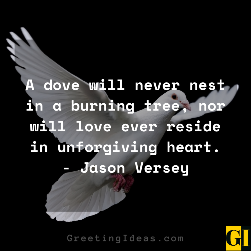 20 Insightful and Deep Meaningful Dove Quotes and Sayings