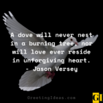 20 Insightful and Deep Meaningful Dove Quotes and Sayings