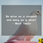 20 Insightful and Deep Meaningful Dove Quotes and Sayings