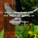 20 Insightful and Deep Meaningful Dove Quotes and Sayings
