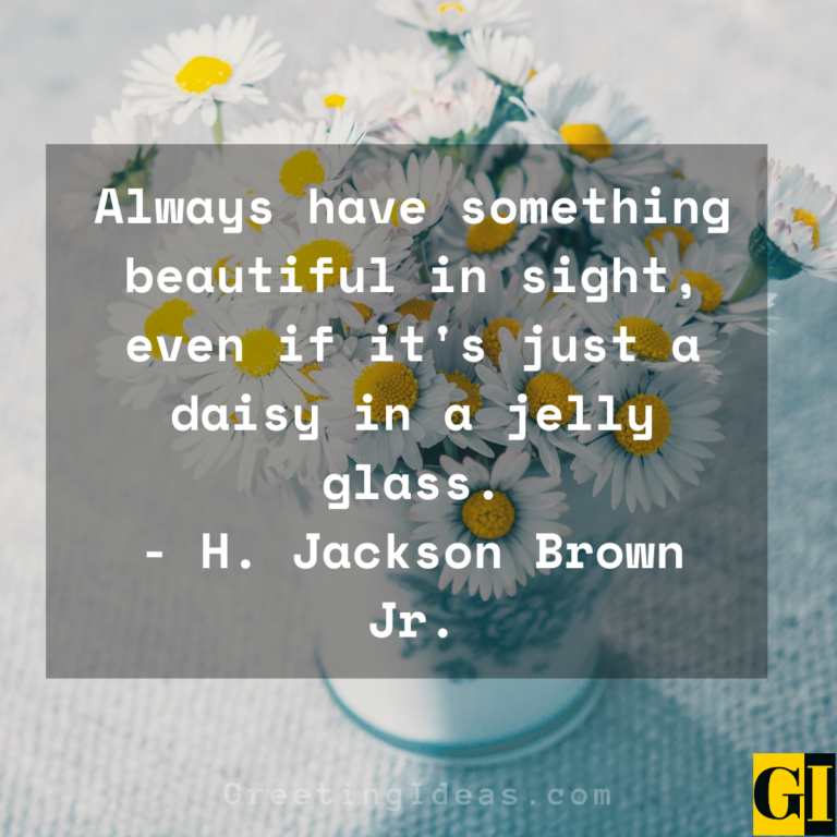30 Happy and Positive Daisy Quotes and Sayings