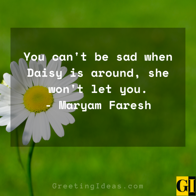 30 Happy and Positive Daisy Quotes and Sayings