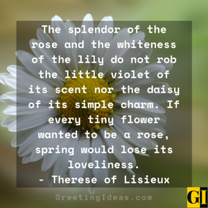 30 Happy and Positive Daisy Quotes and Sayings