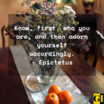 30 Eye Pleasing and Beautiful Decorating Quotes and Sayings