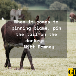 20 Funny and Iconic Donkey Quotes and Sayings