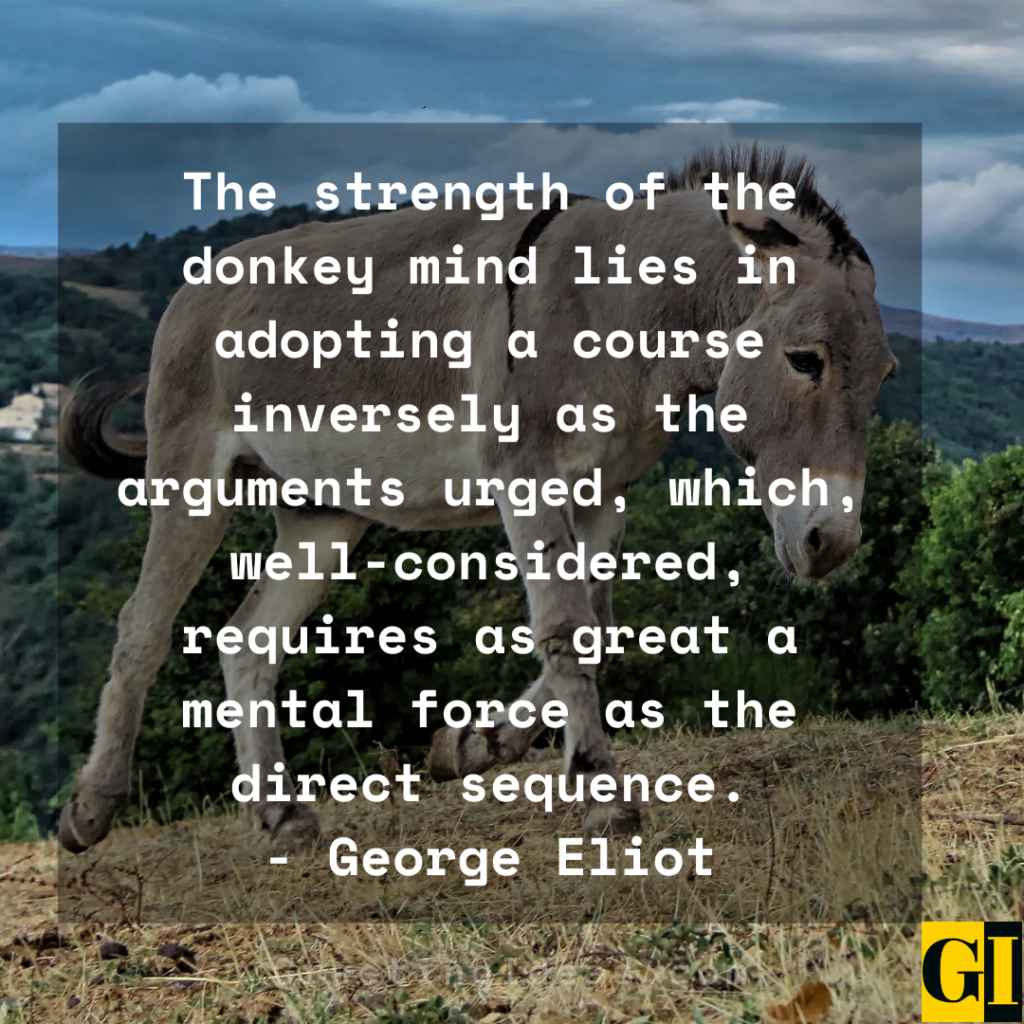 20 Funny and Iconic Donkey Quotes and Sayings