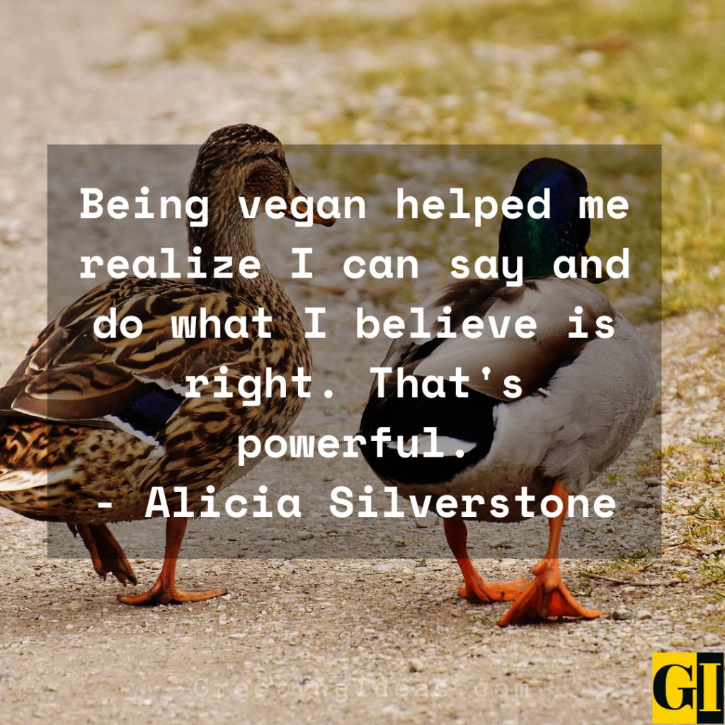 50 Inspirational Vegan Quotes To Save Animal And Environment