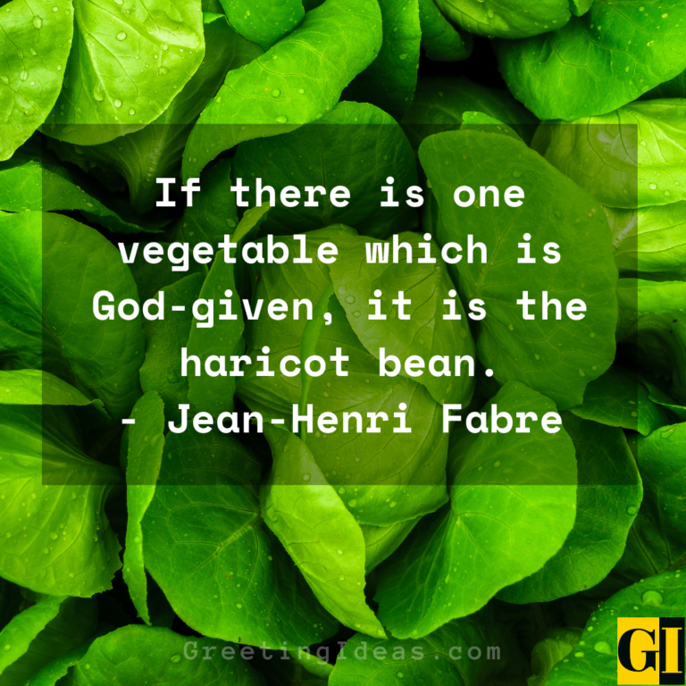 25 Healthy and Fresh Vegetable Quotes and Sayings