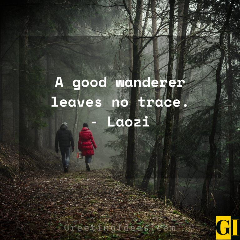 30 Best The Wanderer Quotes and Sayings for Nomads