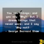 20 Famous and Popular Why Not Quotes and Sayings