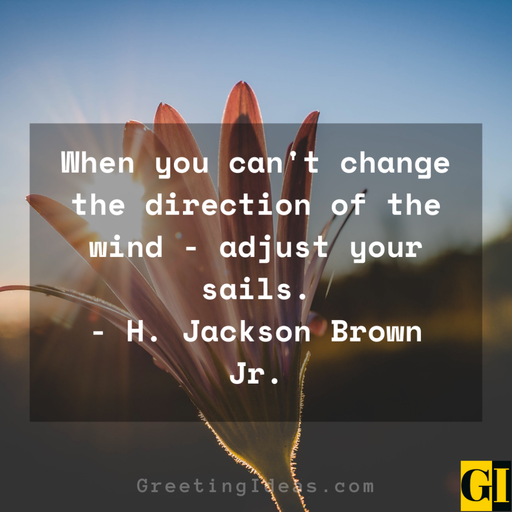 40 Best Uninspiring Quotes Sayings on being a Winner