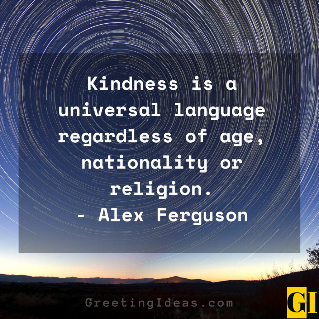 45 Best Universal Quotes and Sayings about Love and Life