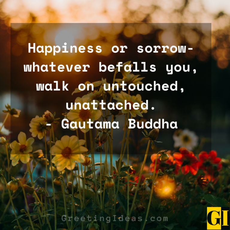 35 Best Intriguing Untouchable Quotes and Sayings