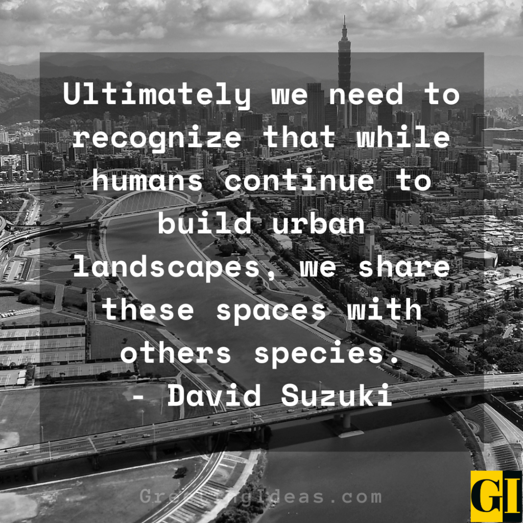 40 Best and Positive Urban Quotes and Sayings about Life