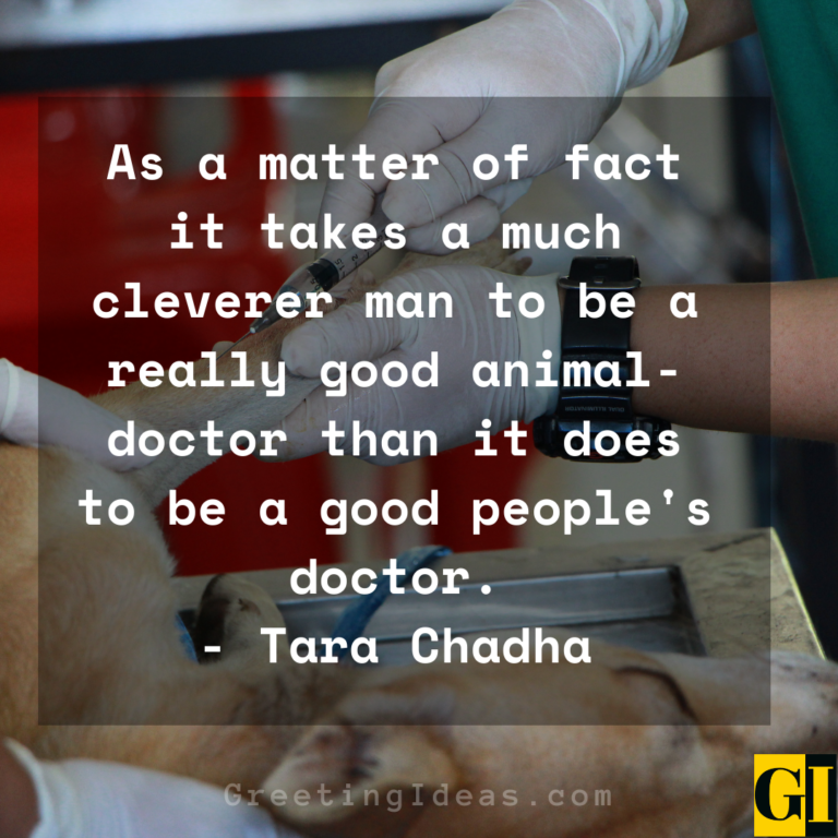 20 Thank You Veterinarian Quotes and Sayings