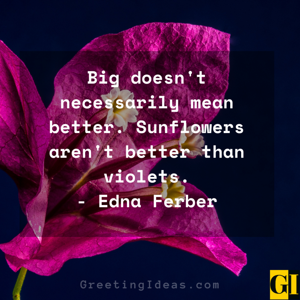 40 Best Love Violet Quotes, Sayings, and Phrases