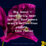 40 Best Love Violet Quotes, Sayings, and Phrases