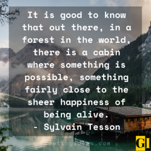 35 Inspiring Cozy Cabin Quotes and Sayings