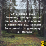 35 Inspiring Cozy Cabin Quotes and Sayings