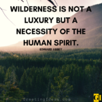 35 Inspiring Cozy Cabin Quotes To Enjoy Wilderness