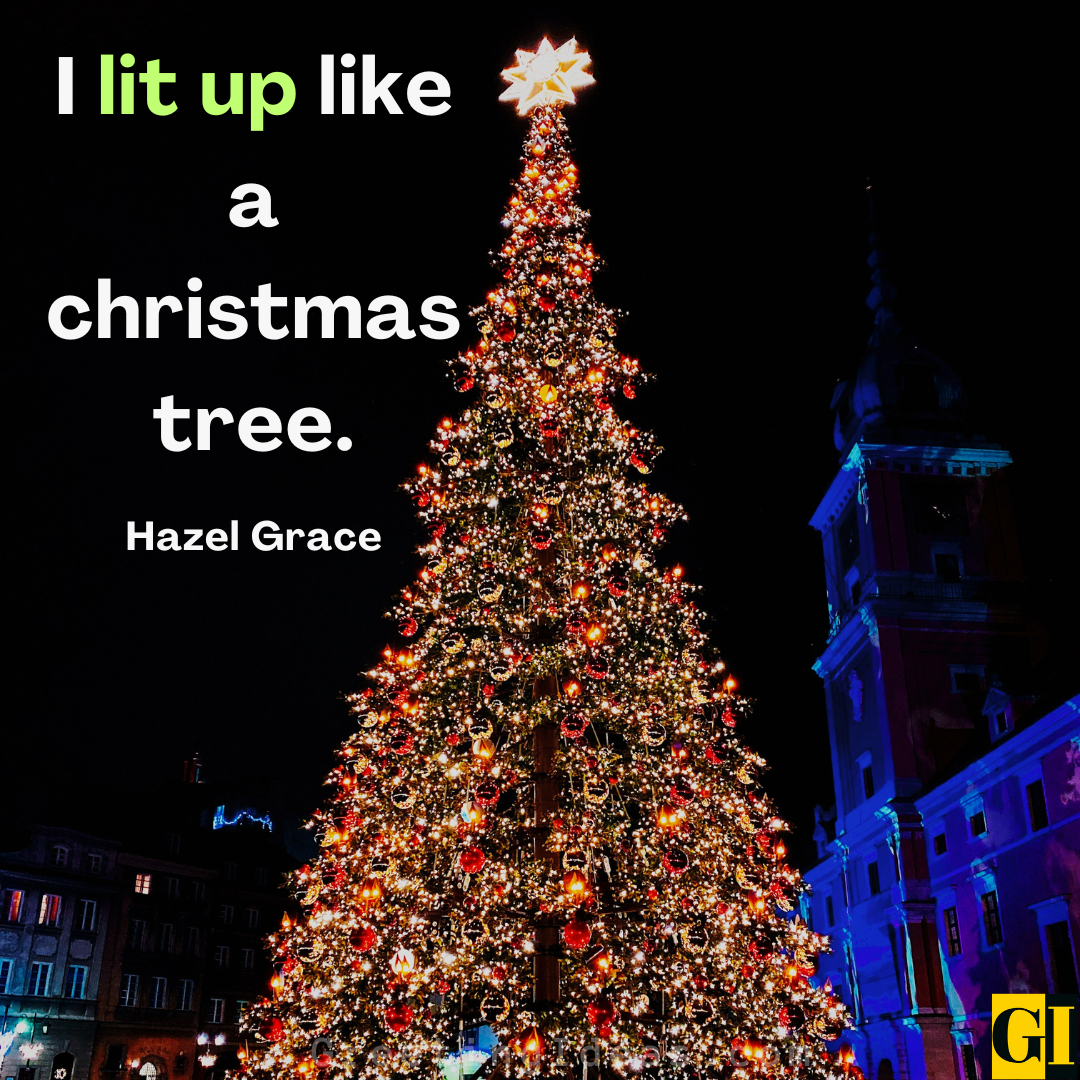 75 Magical Christmas Tree Quotes to Spark Holiday Joy