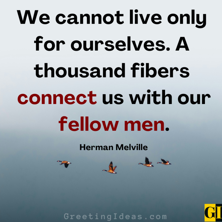 72 Community Quotes That Make Belonging Feel Real