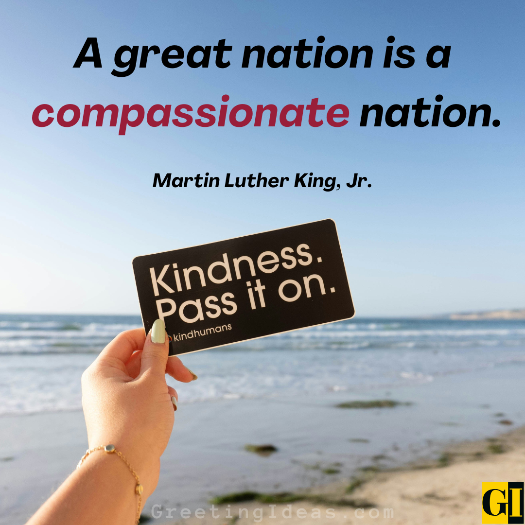 80 Famous Compassion Quotes To Ignite Kindness Within
