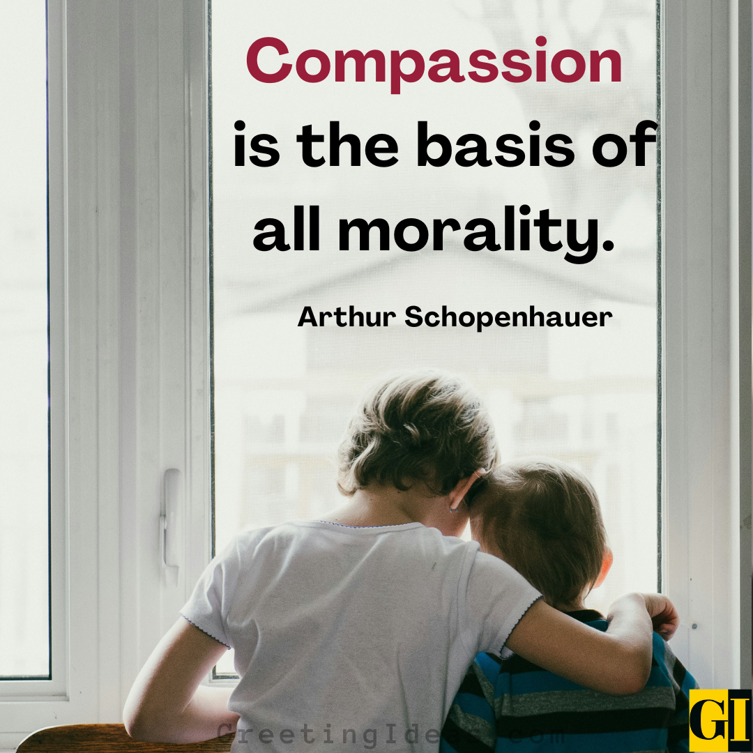 80 Famous Compassion Quotes To Ignite Kindness Within